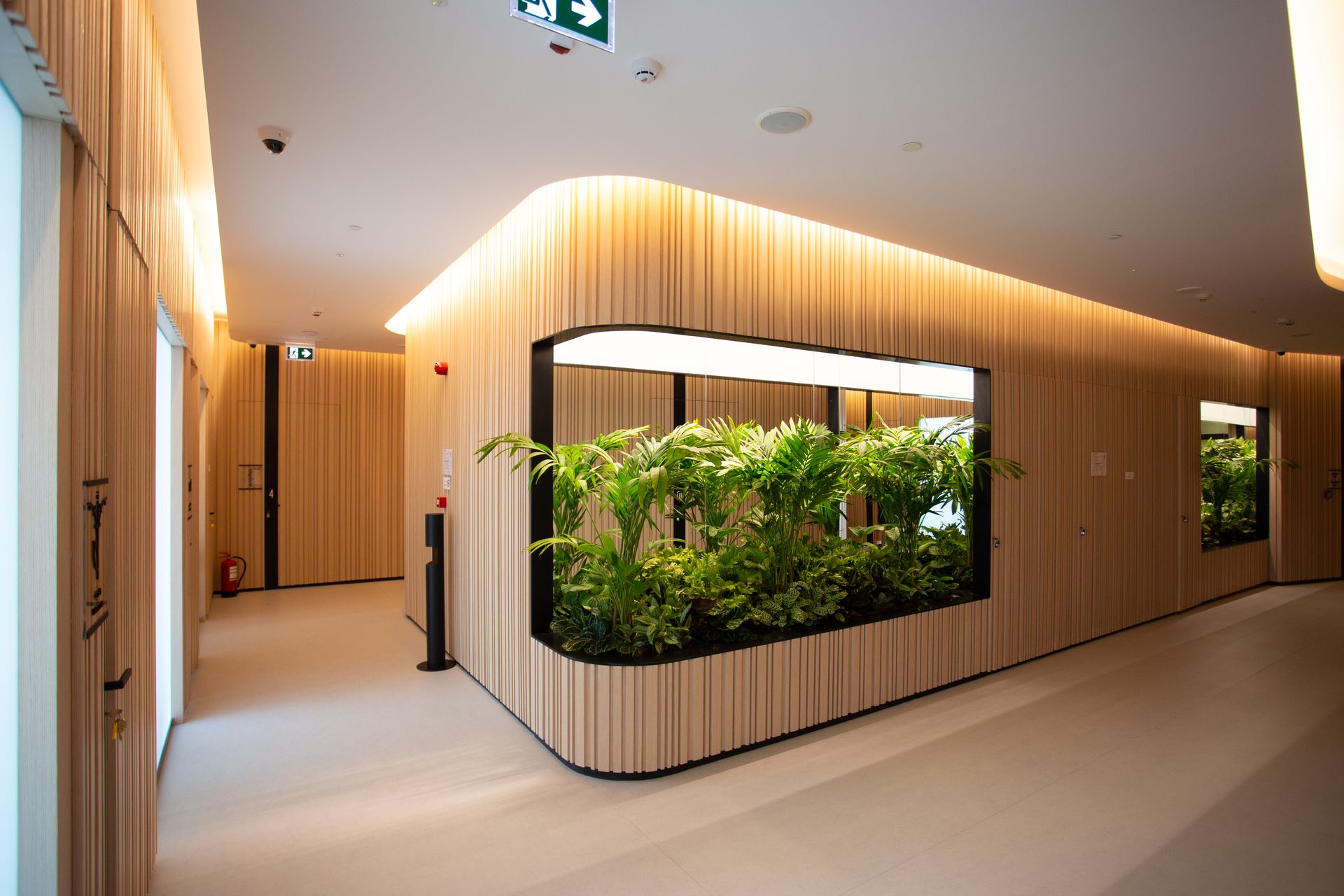 Home | Seed Health and Wellness Center